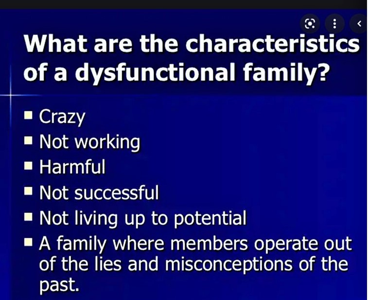 Book Review: There’s No “Fun” In This Much Dysfunction – I Hate Houseguests