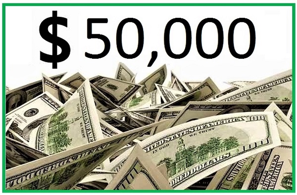 What Will $50,000 Get You These Days? – I Hate Houseguests